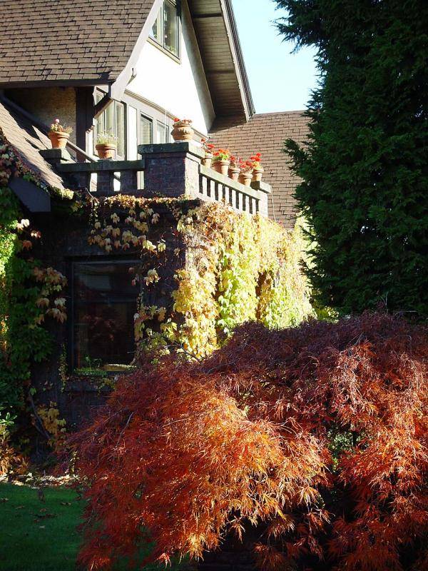 Seattle Architecture - Seattle Dream Homes - Seattle Real Estate for Sale